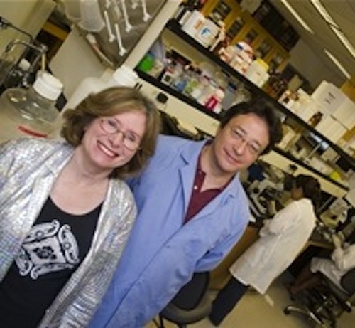 Morgan Completes Year One of $3.1 Million NIH Neuroscience Research ...