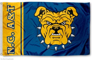 NCAT Faculty Members Selected as Carnegie African Diaspora Fellows ...