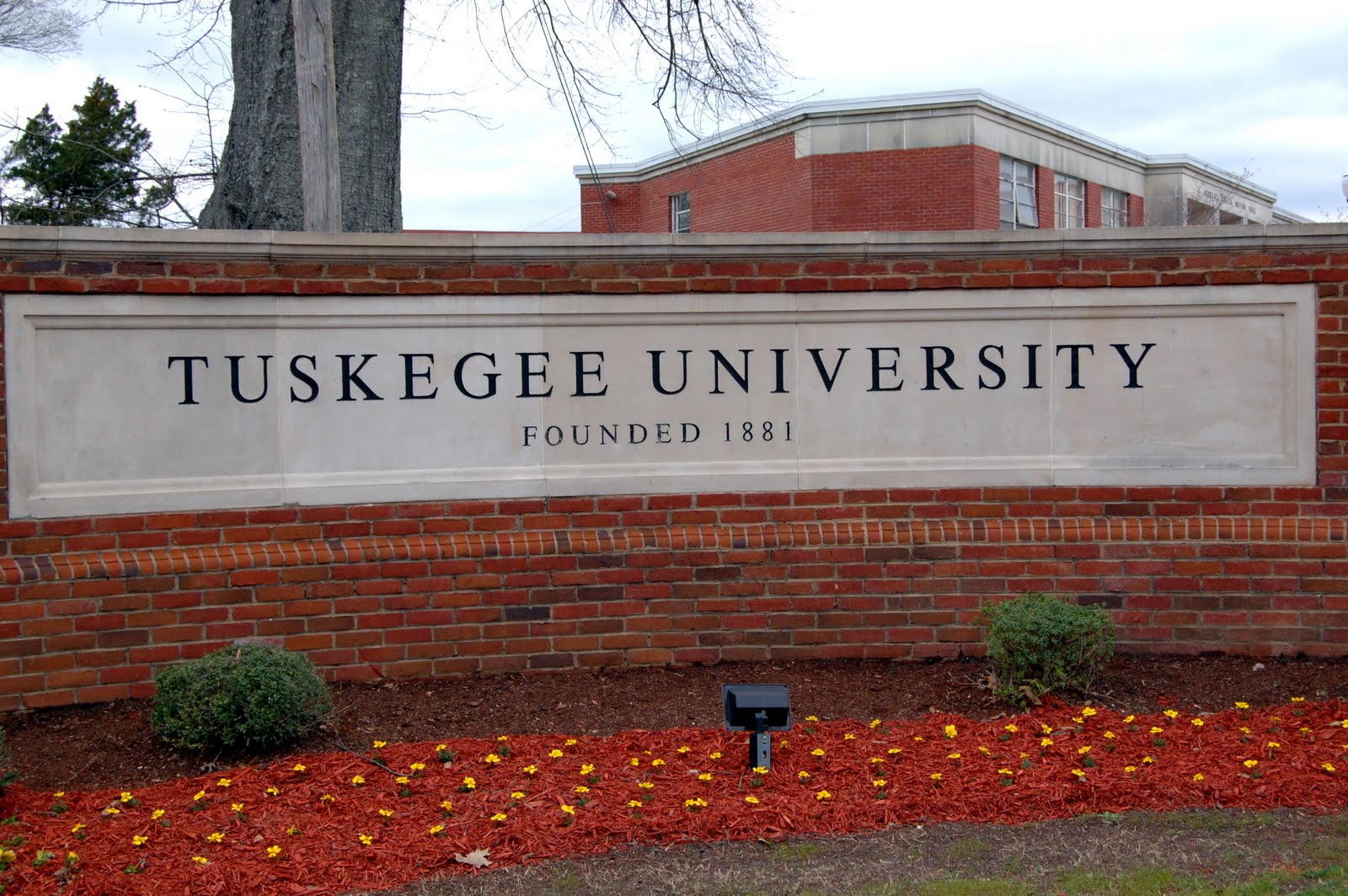 Tuskegee University Among The Princeton Review’s 2019 ‘Best Colleges ...
